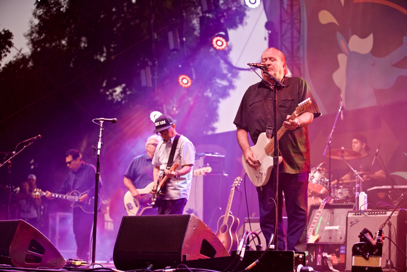 Los Lobos Honored Josh Fischel By Playing "Kiko" At Music Tastes Good ...
