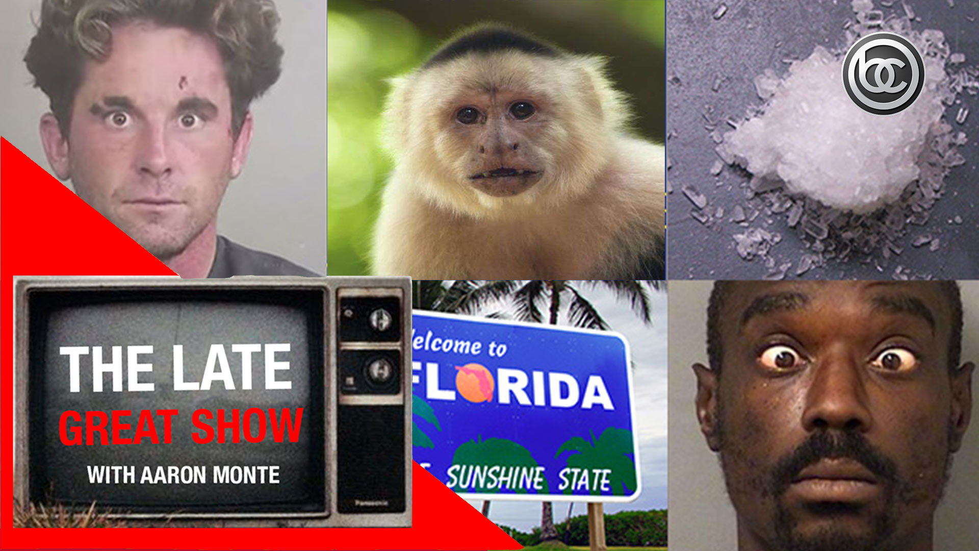 Monkeys, Crystal Meth & More Weird Florida News - Blurred Culture
