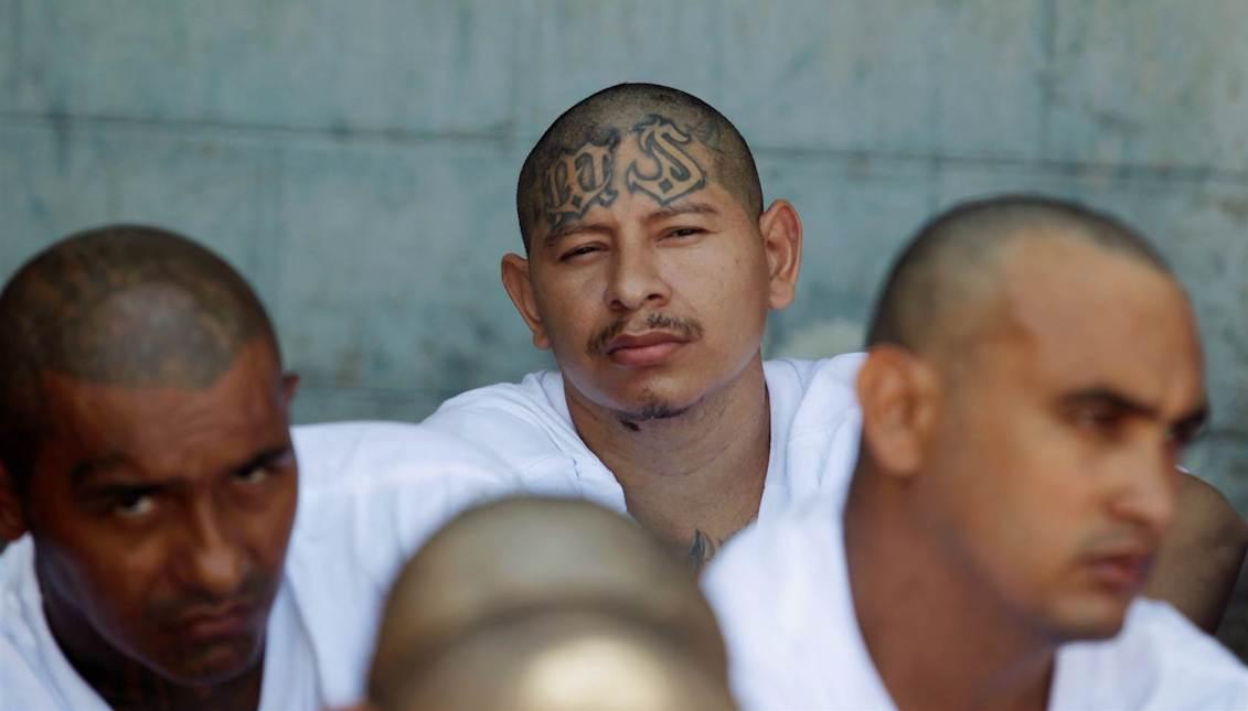 Why the street gang MS-13 is an American problem - Blurred Culture