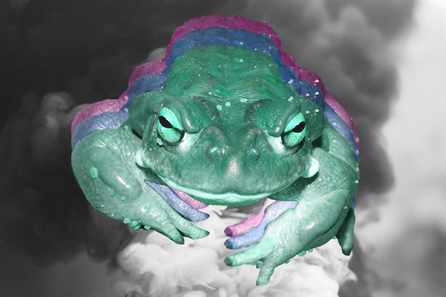 Synthetic Toad Venom Machine: Hamilton's Pharmacopeia New Season ...