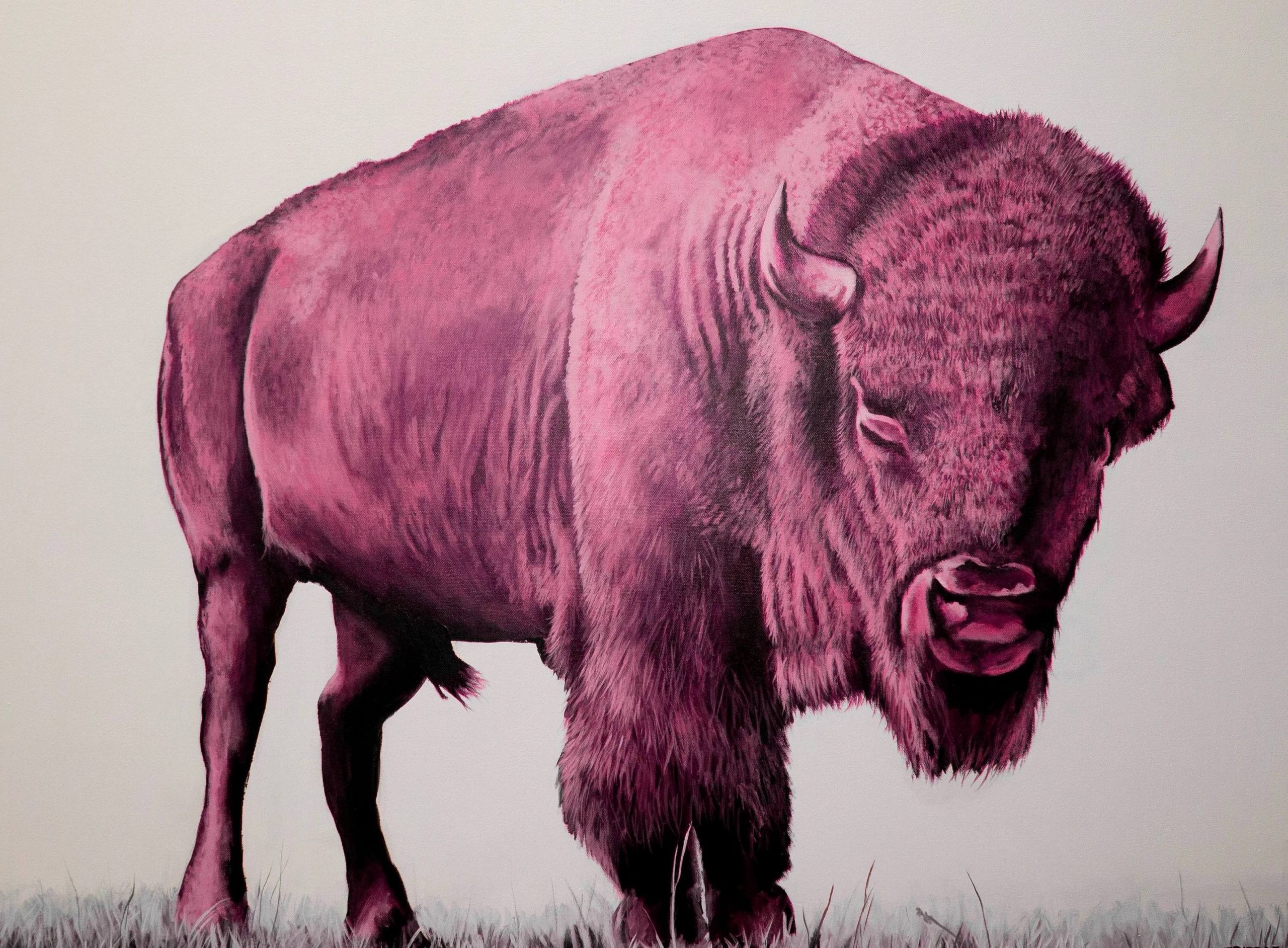 Pink Buffalo from The Bakerie - Blurred Culture