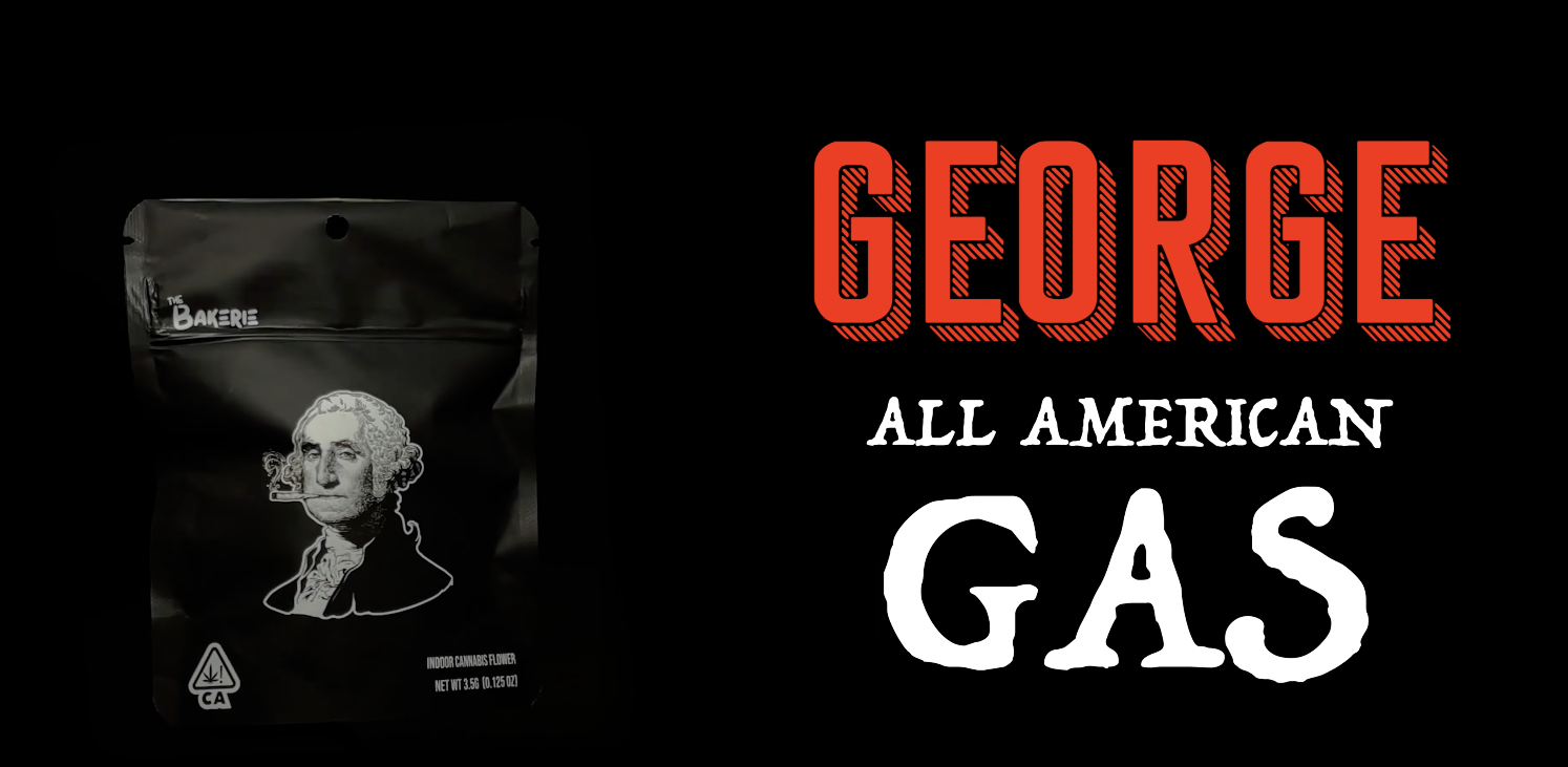 George a powerful Cannabis Strain - Blurred Culture