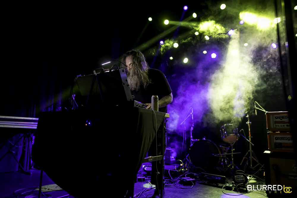Discovering the Eerie and Haunting Sounds of Snakes of Russia - Blurred ...