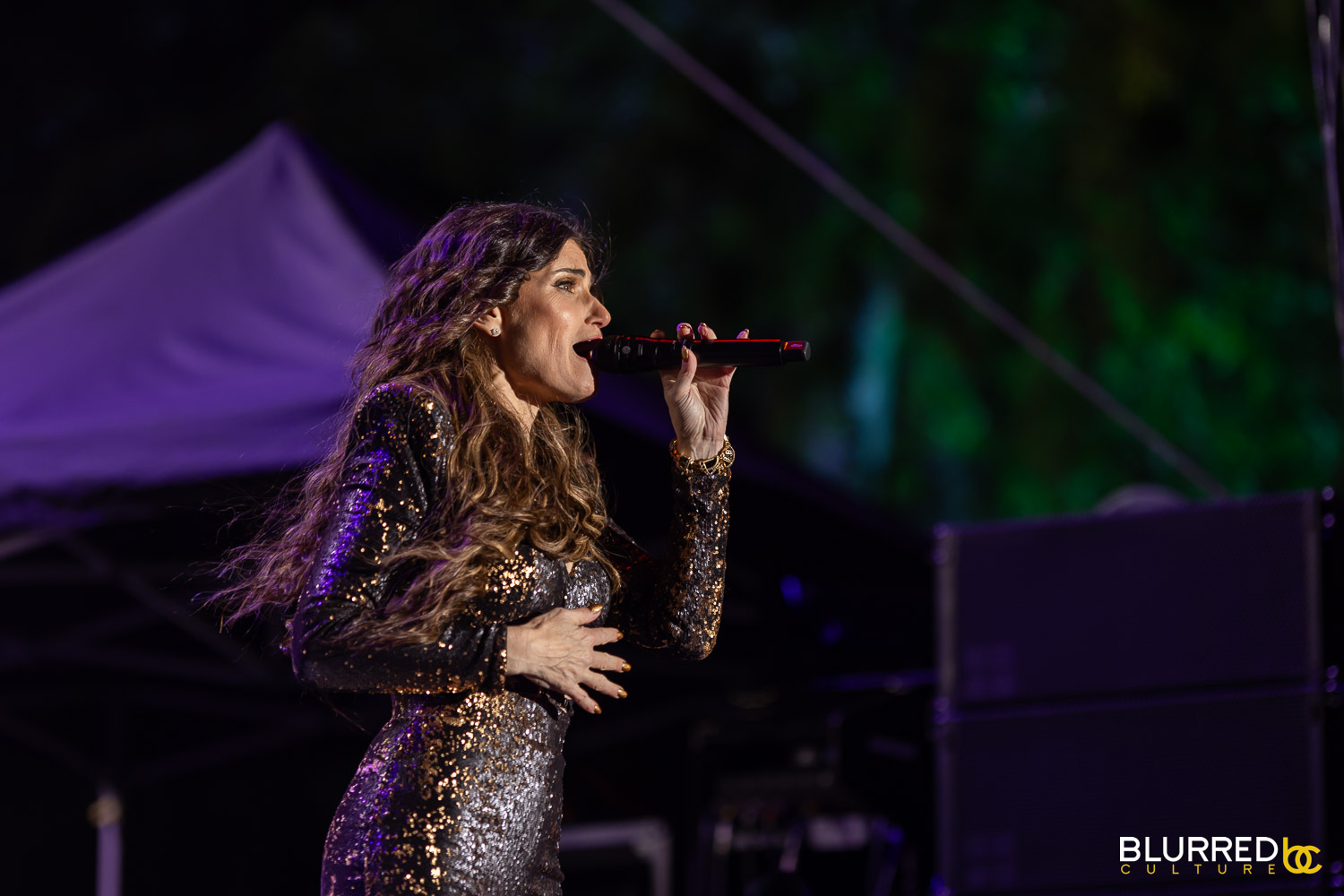 An Iconic Moment: Idina Menzel's Electrifying Performance at OUTLOUD ...