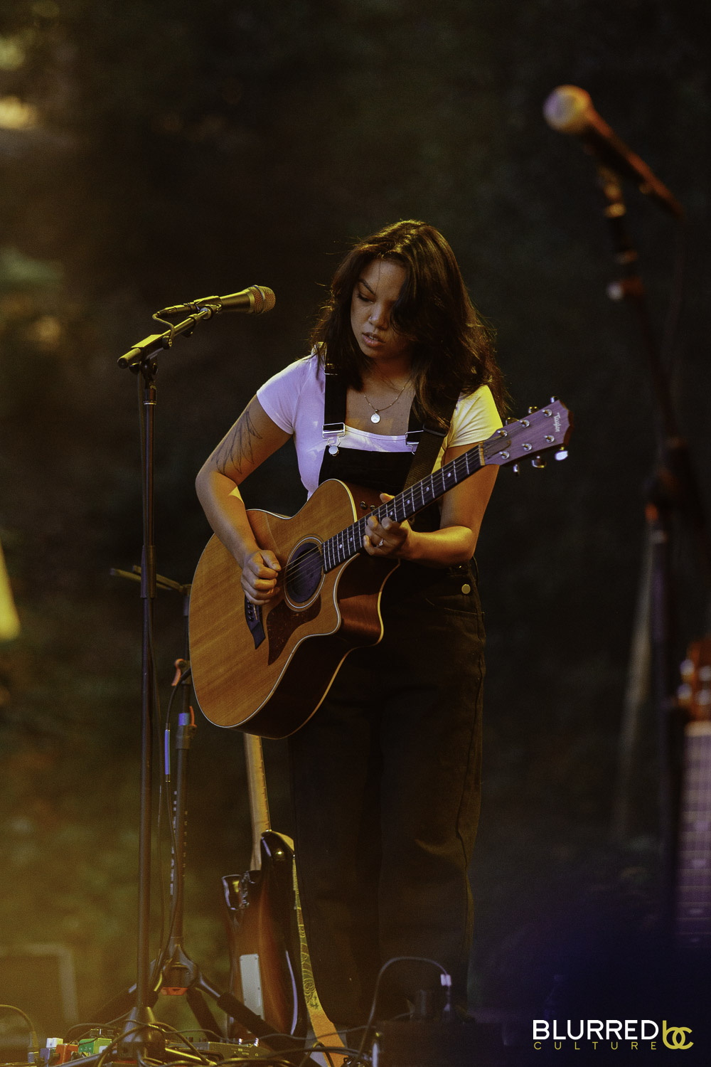 Bittersweet Daze Tour With Cavetown & Friends: A Magical Melody of ...