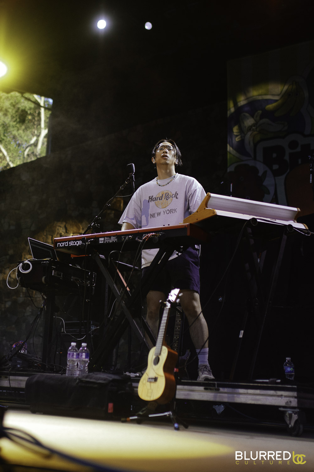 Bittersweet Daze Tour With Cavetown & Friends: A Magical Melody of ...