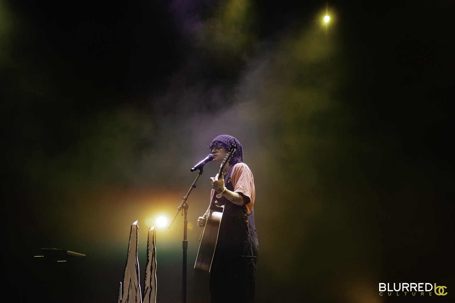 Bittersweet Daze Tour With Cavetown & Friends: A Magical Melody of ...