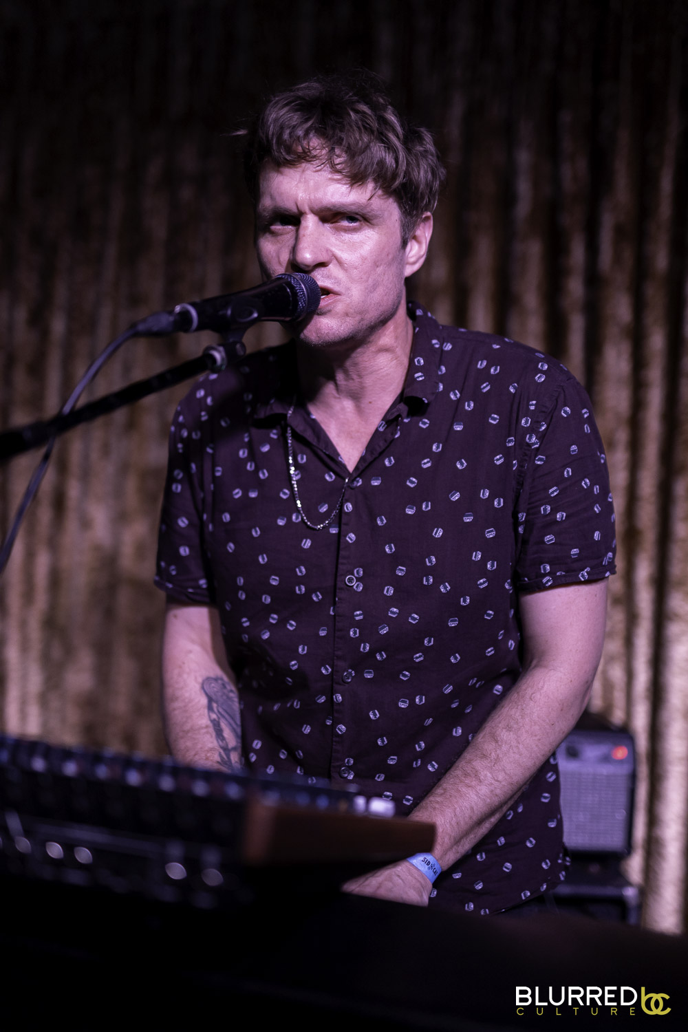 WDPC: Blending Apocalypse and Pleasure in Musical Mastery - Blurred Culture