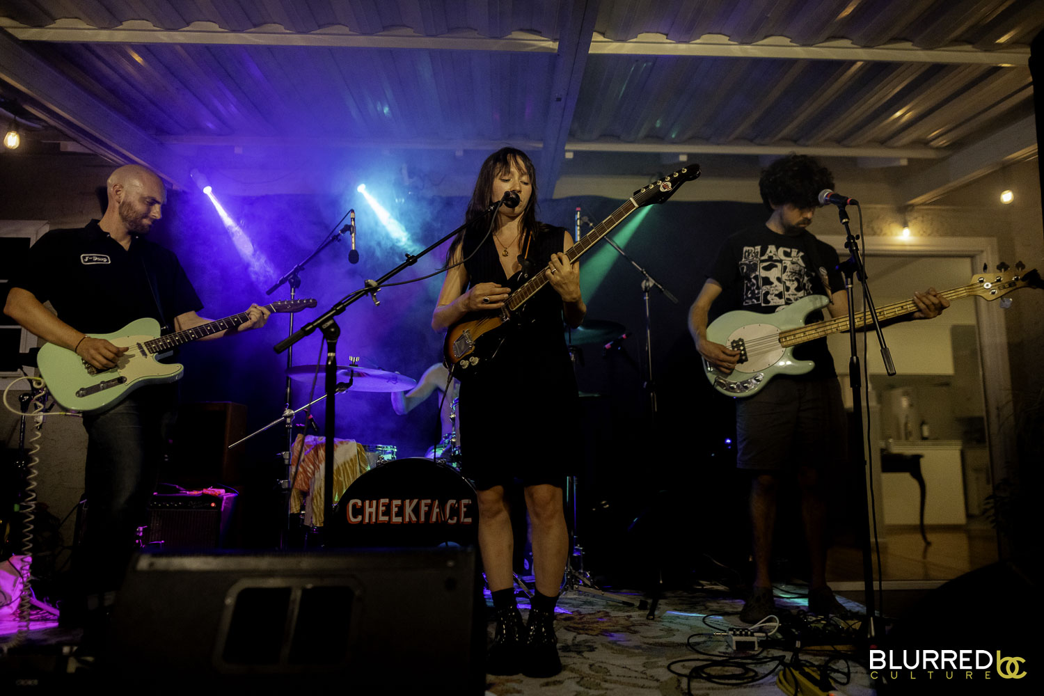 Discovering Lilliana Villines: The Voice That Defined the Summer ...