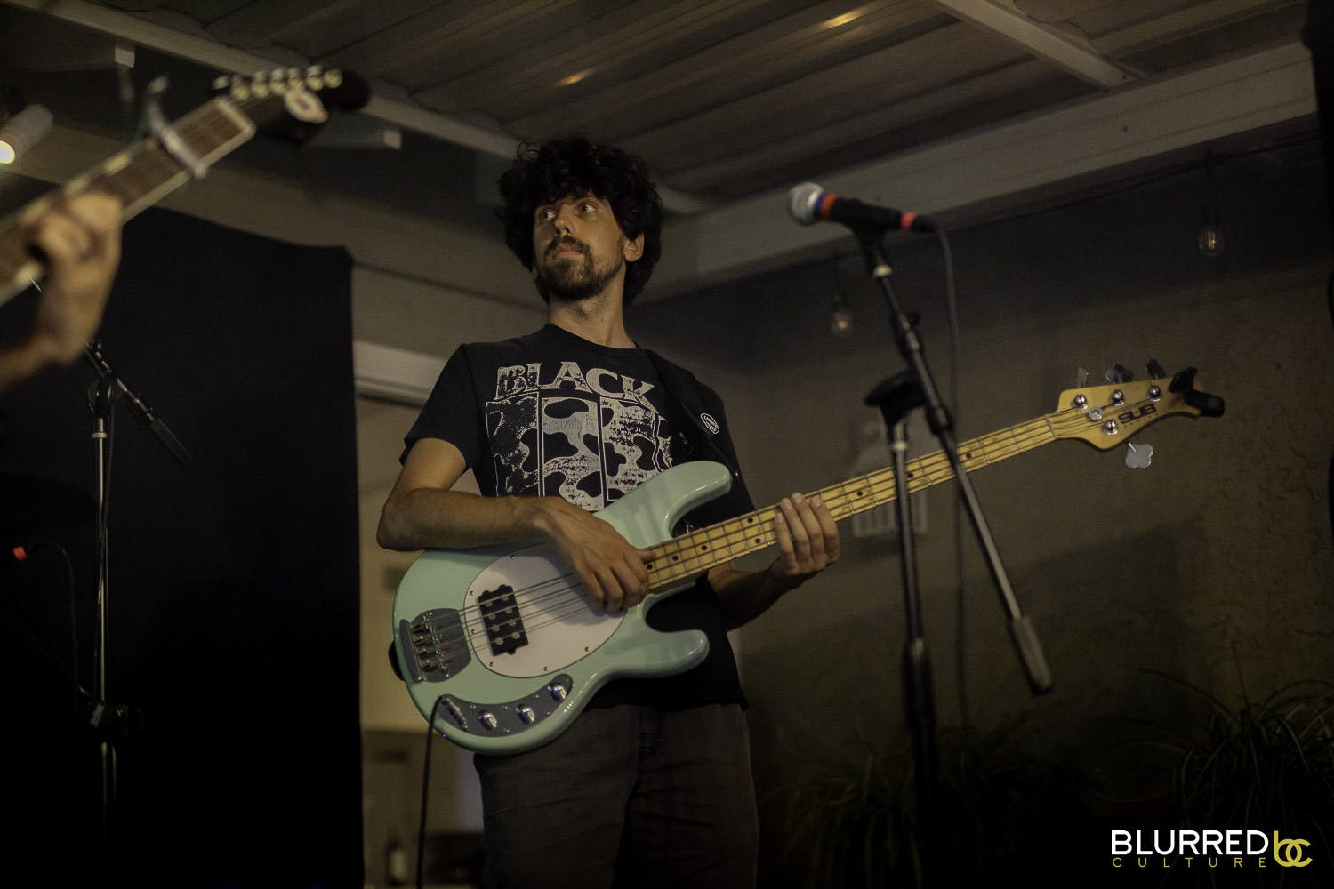 Discovering Lilliana Villines: The Voice That Defined the Summer ...