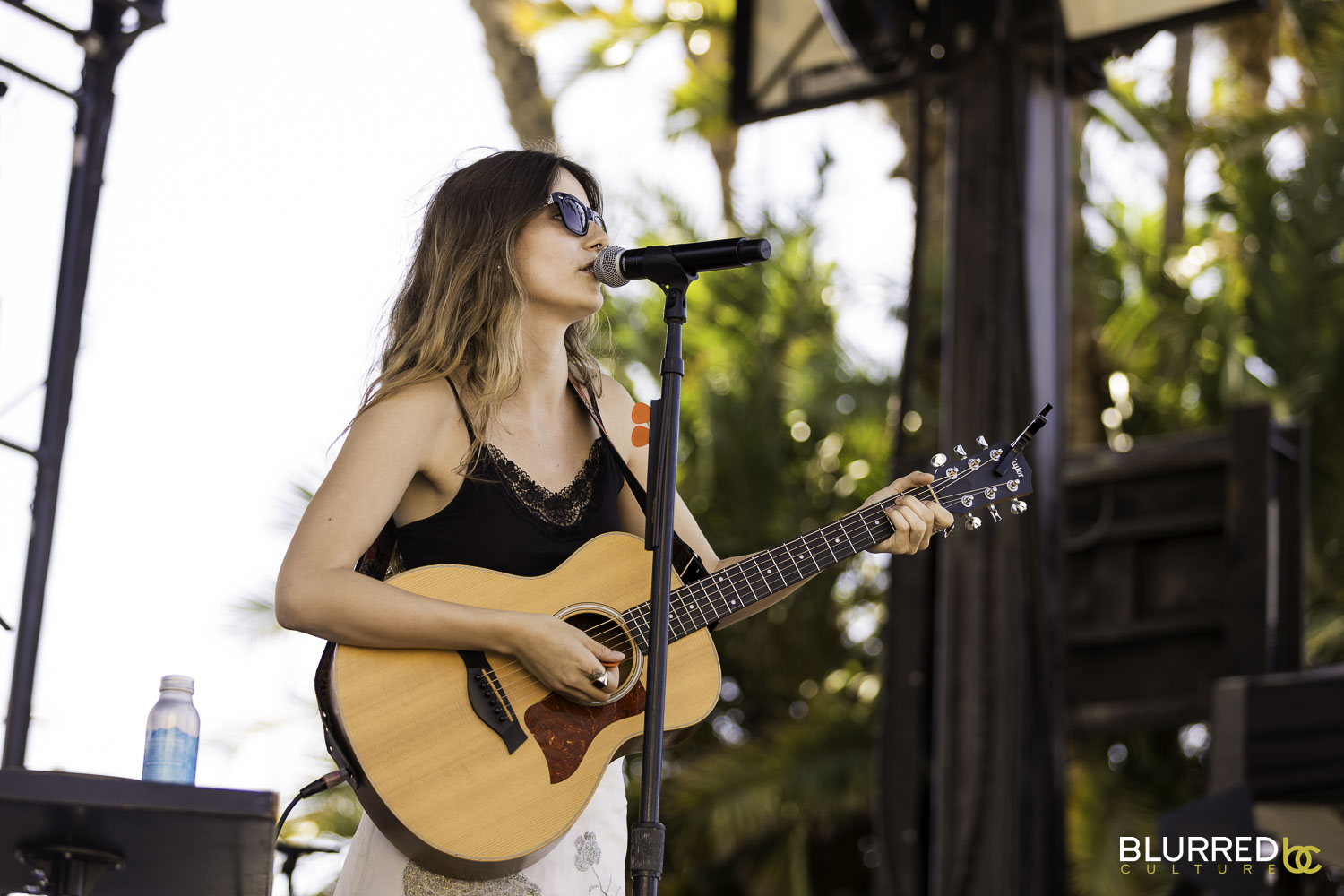 From SXSW to Bleached Fest: Tracing bülow's Transformation in the ...