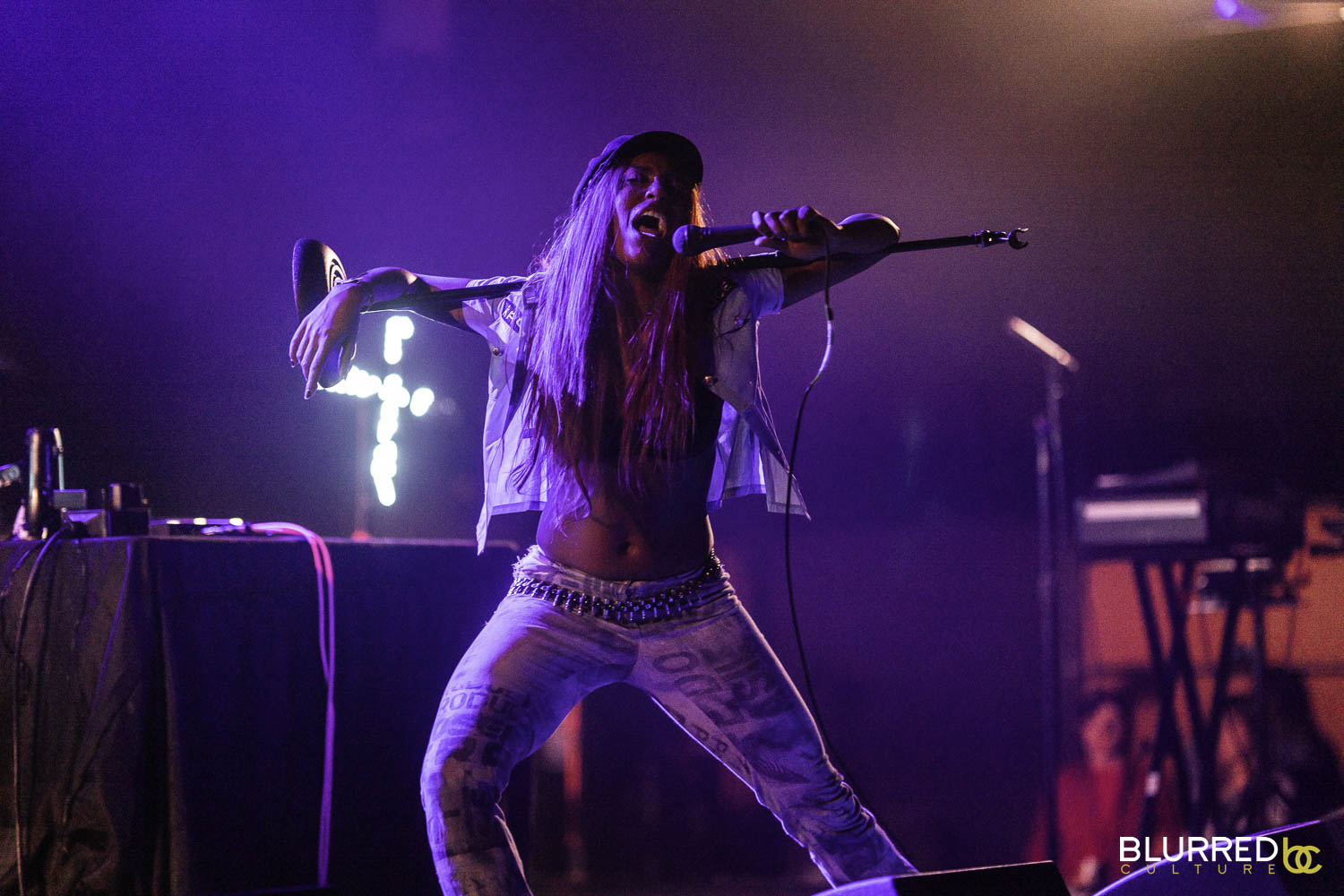 The Enigmatic Aura of 3L3D3P: Unpacking the Influence of The Garden's ...