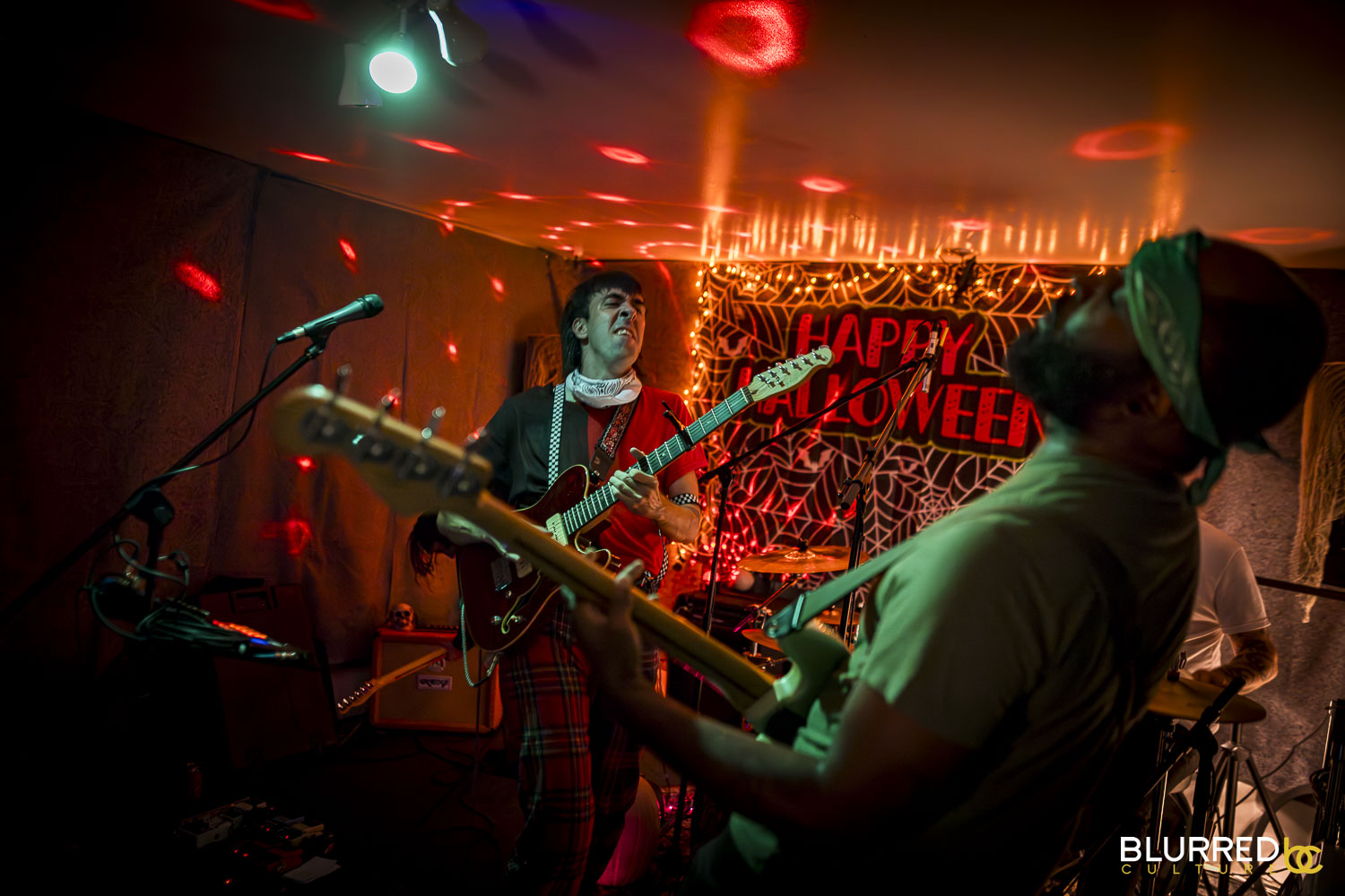 From Ramonda Hammer to Gasper: Exploring New Sounds with Andy Hengl and ...