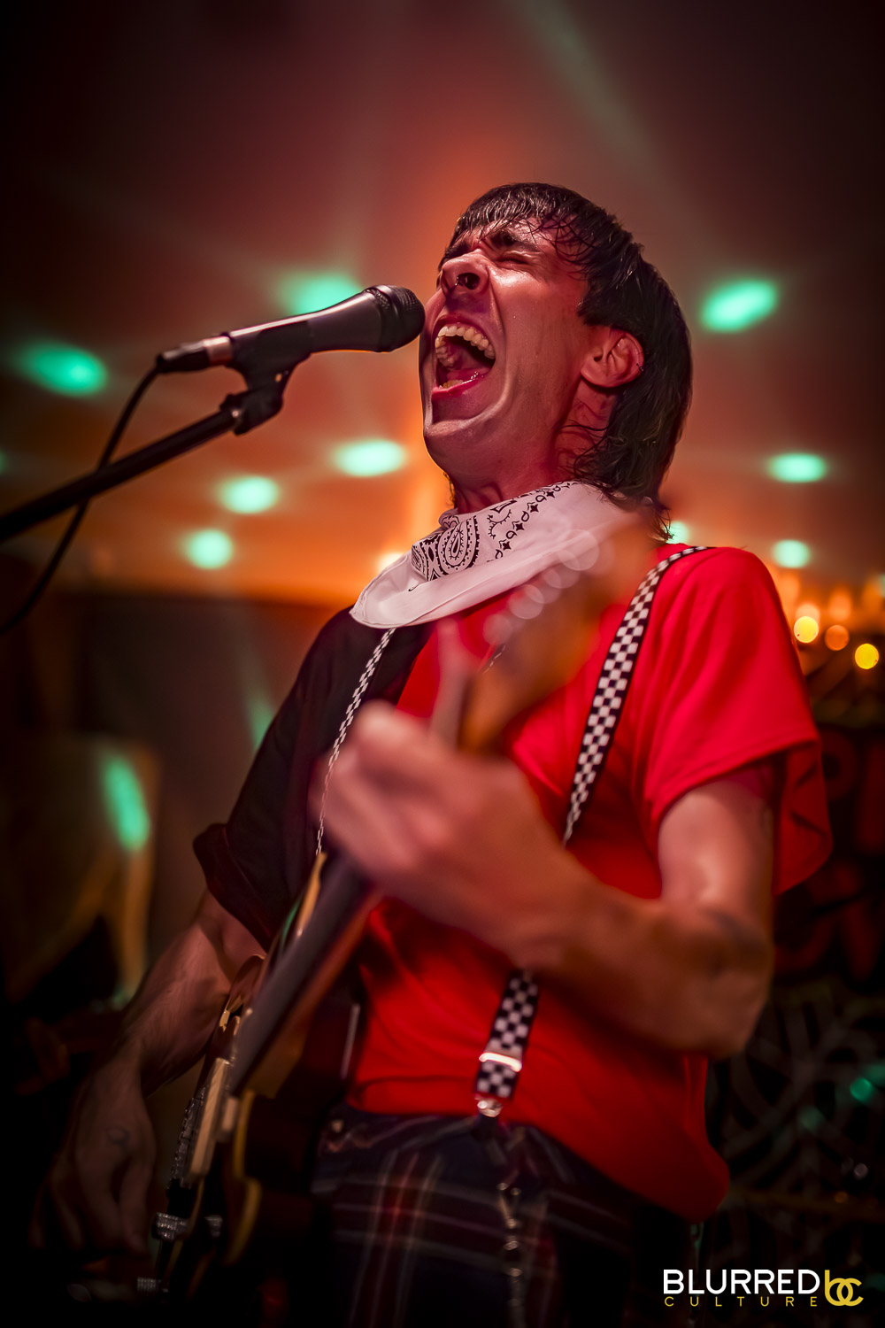 From Ramonda Hammer to Gasper: Exploring New Sounds with Andy Hengl and ...