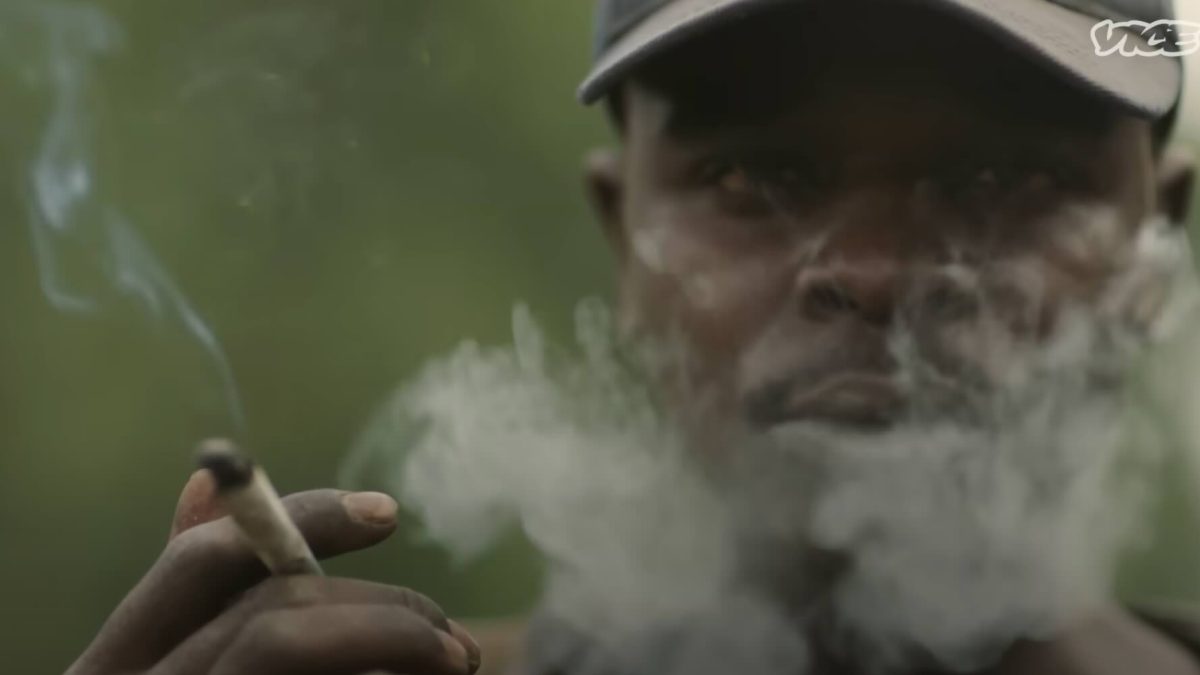 The Congolese Tribes Selling Weed to Survive - Blurred Culture