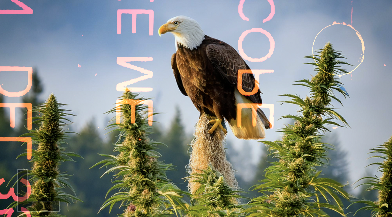 NativeCare: Pioneering Cannabis Culture and Style in Red Lake