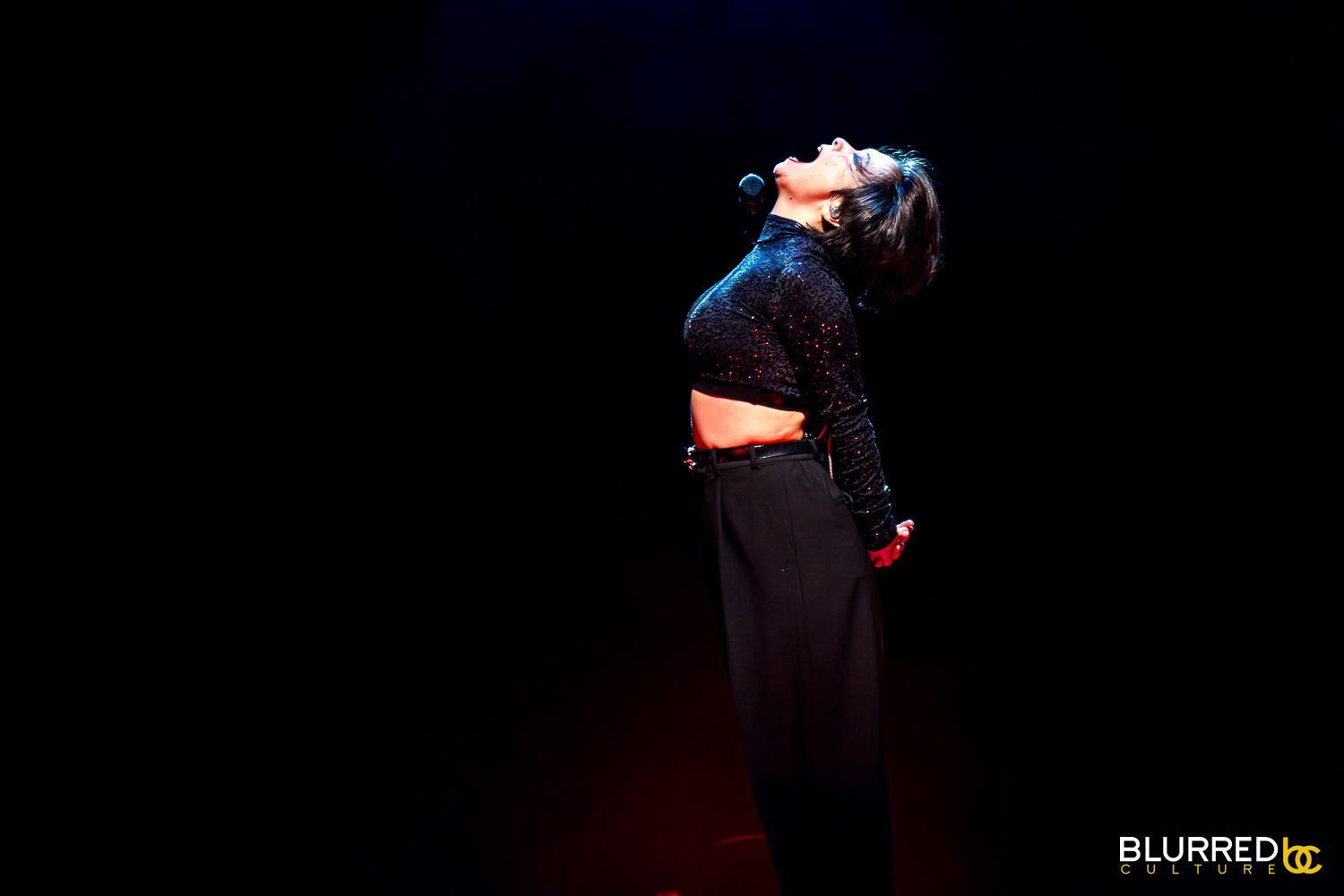 The Genius of Mitski: A Masterclass in Music and Art At The Hollywood ...