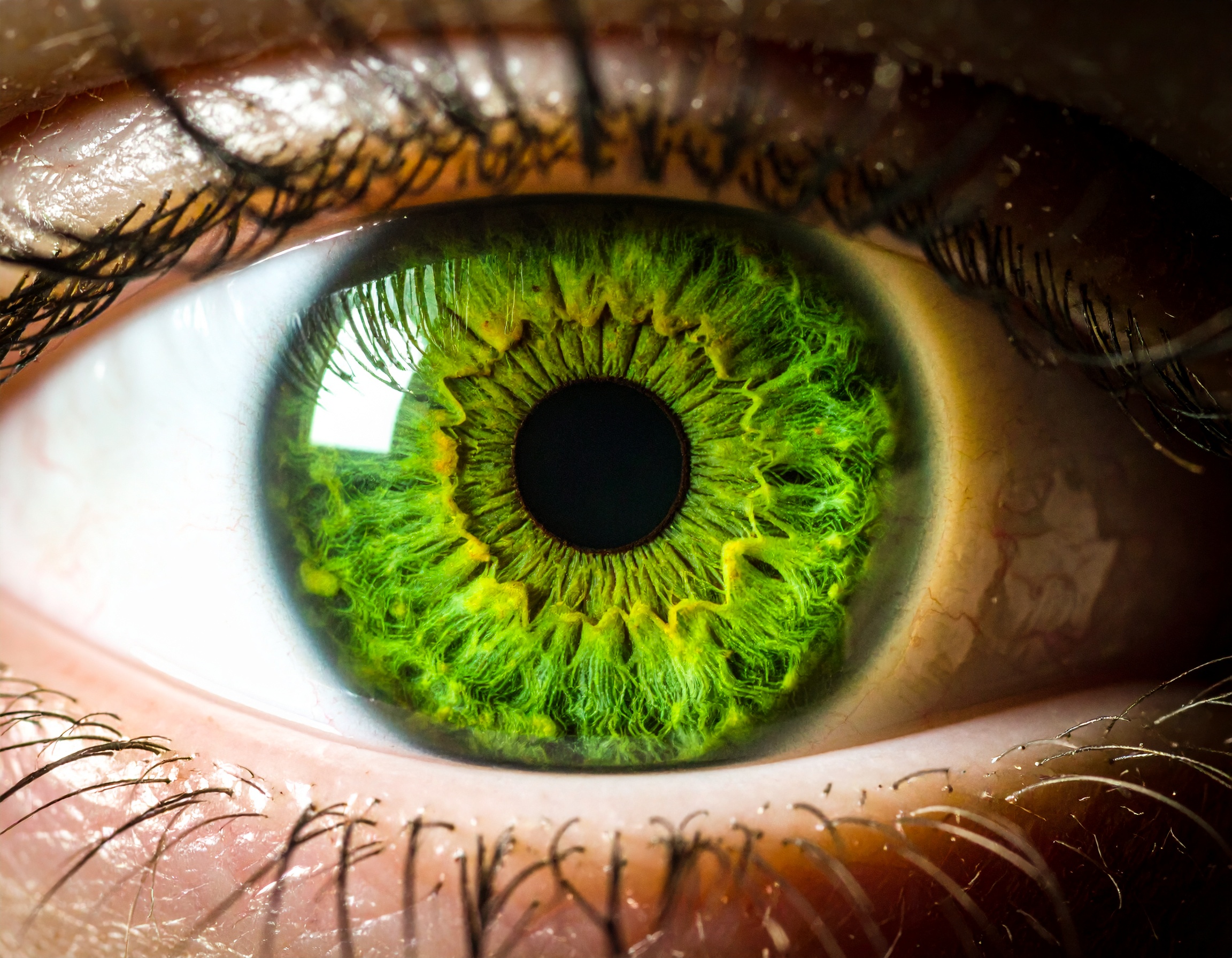 The 8 Eye Colors and What Evolutionary Advantage They Hide - Blurred ...