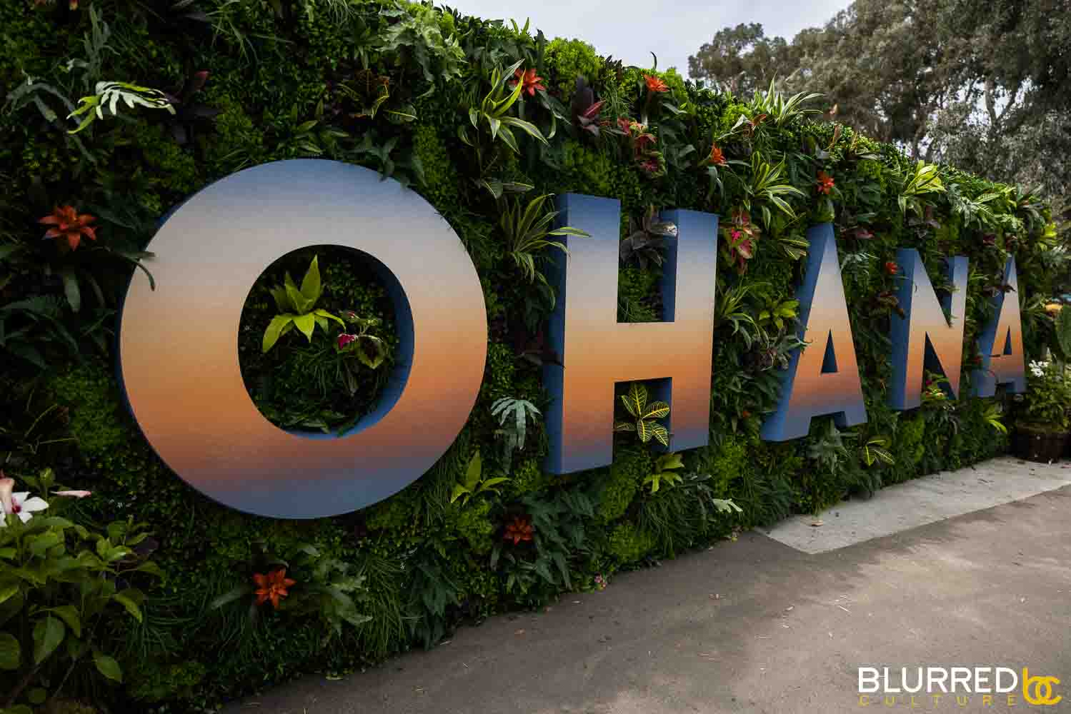 Eddie Vedder’s Ohana Fest 2025: A Weekend of Memory, Community, and ...